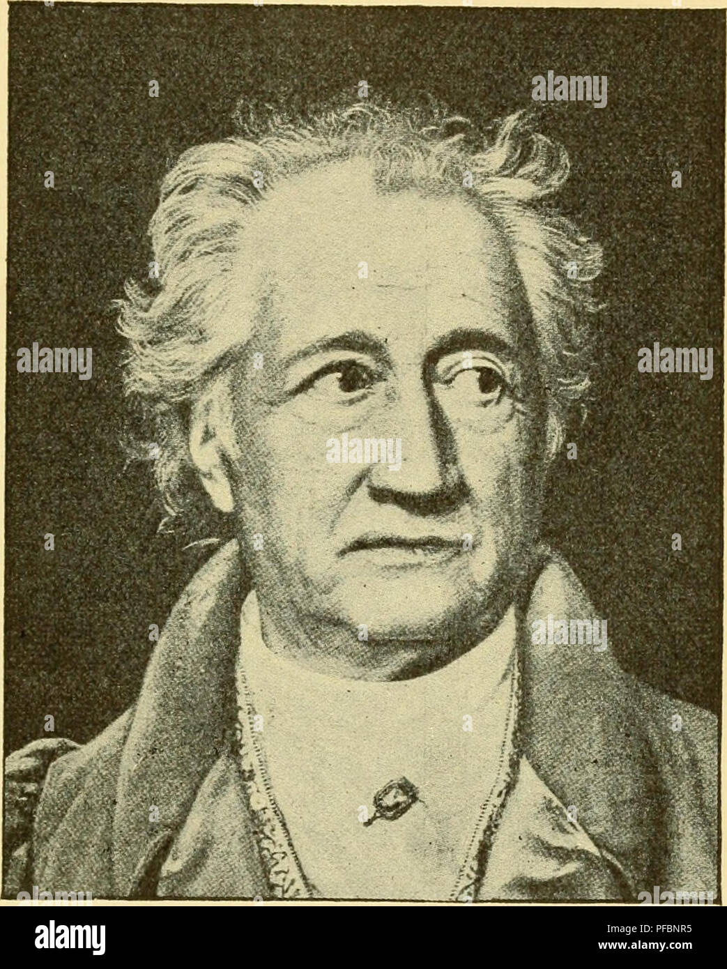 Lamarck evolution hi-res stock photography and images - Alamy