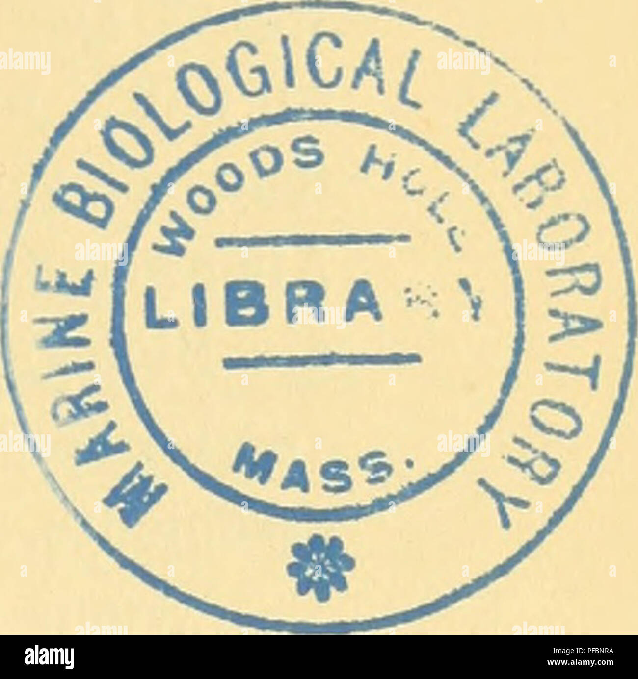 This work presents an accessible discussion of human evolution ...