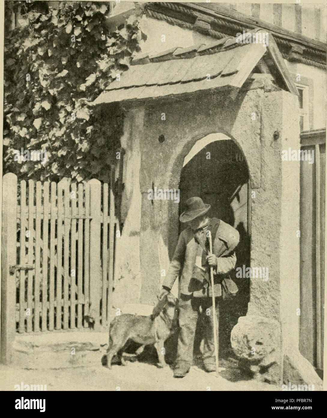 This book offers a comprehensive look at the German Shepherd dog ...
