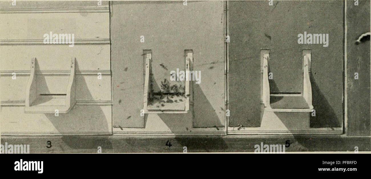 This image comes from a study by Karl von Frisch on the color and shape ...