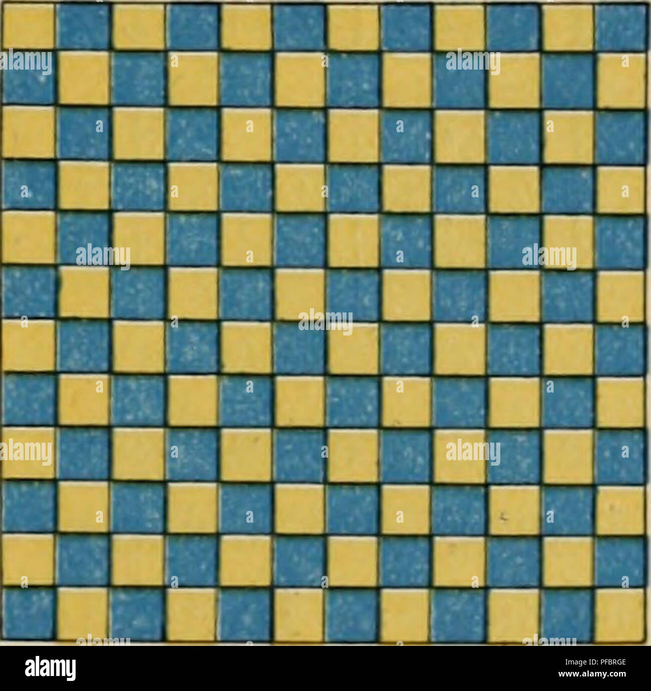 This research focuses on the visual perception of bees, demonstrating ...