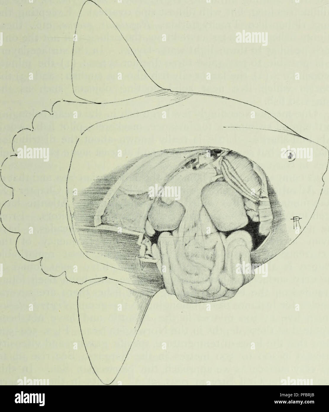 . The depths of the ocean; a general account of the modern science of ...