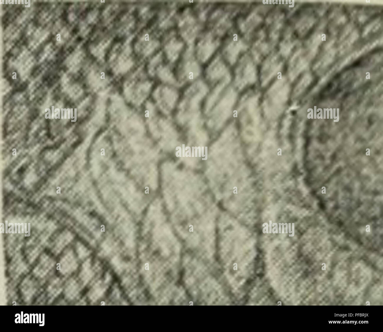 This oceanography work discusses the deep-sea ecosystems of the North ...