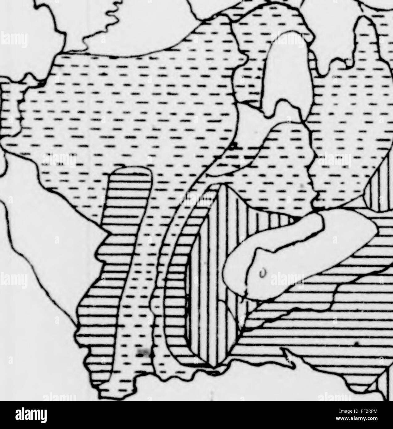 This publication discusses the German forest ecosystem, focusing on ...