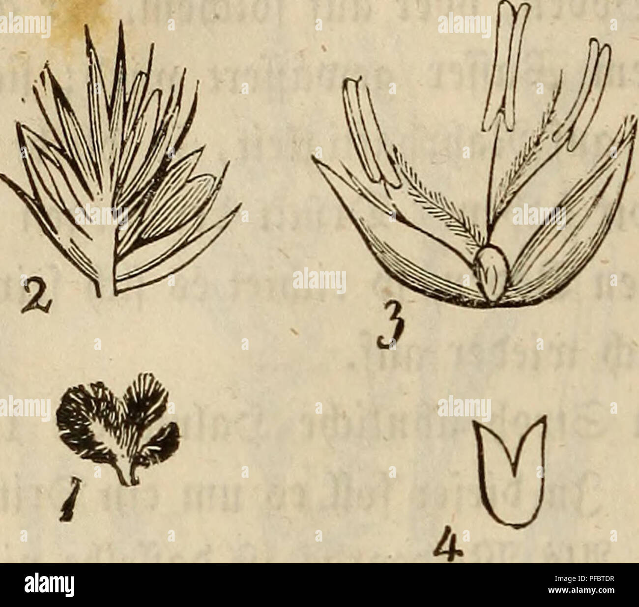 This text explores the various aspects of meadow farming, detailing the ...