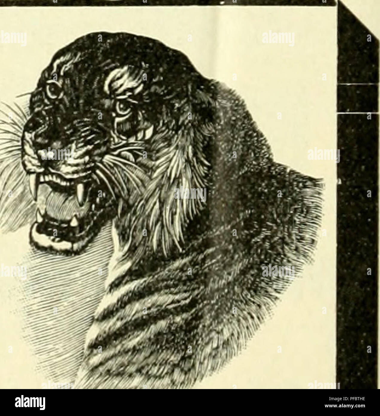 Voller ernst hi-res stock photography and images - Alamy