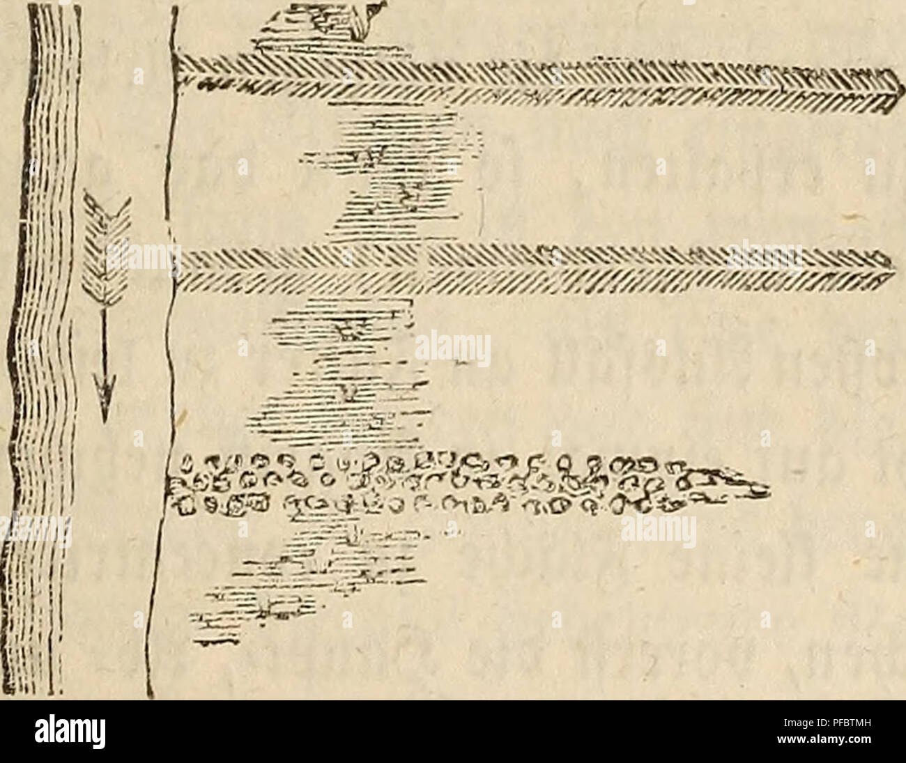 Schwemmen hi-res stock photography and images - Alamy