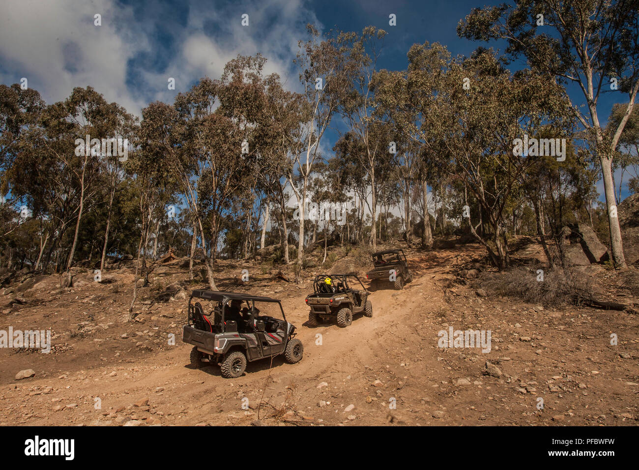 OFF-ROAD BUGGIES IN AUSTRALIA Stock Photo - Alamy