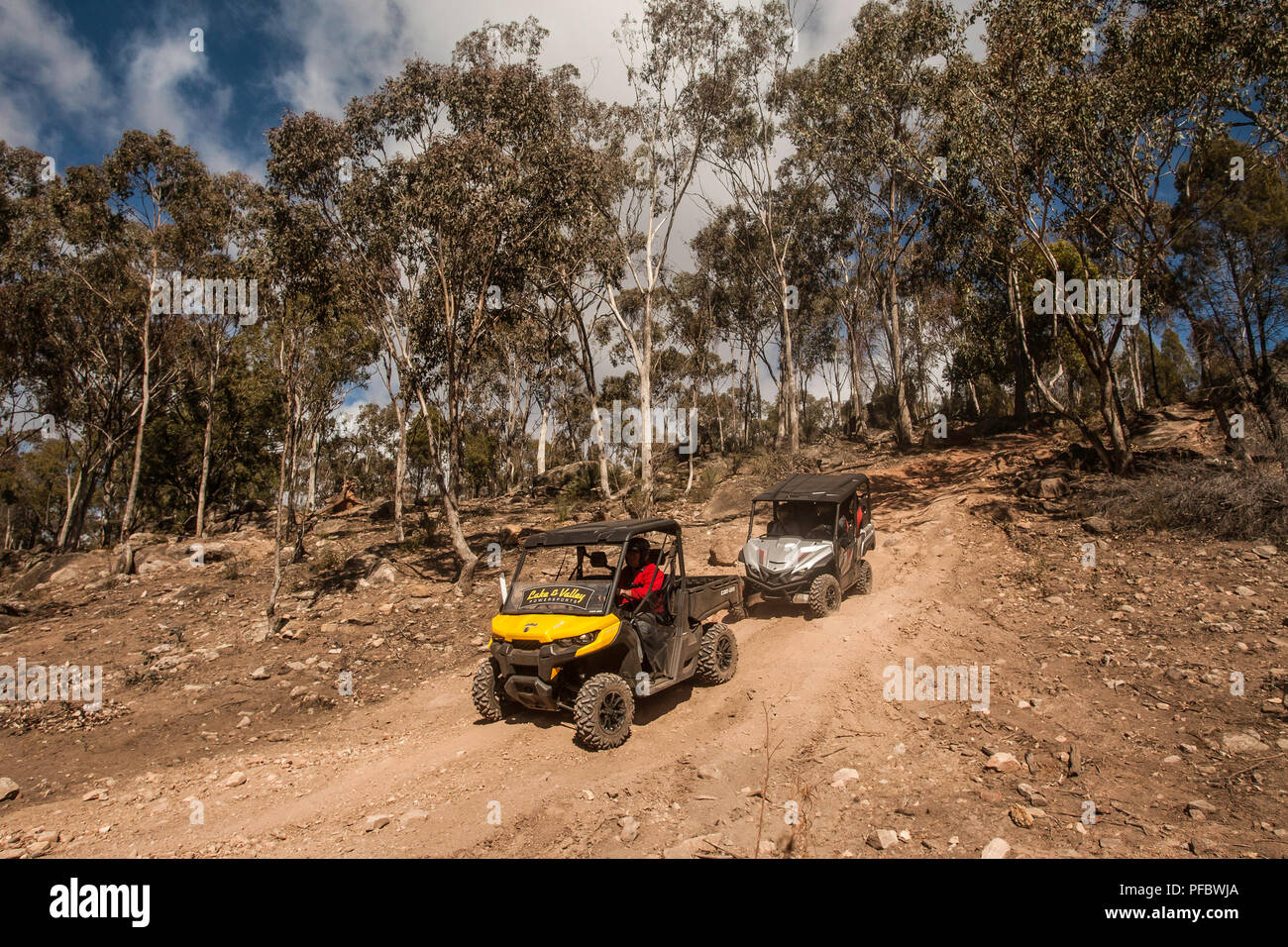 OFF-ROAD BUGGIES IN AUSTRALIA Stock Photo - Alamy