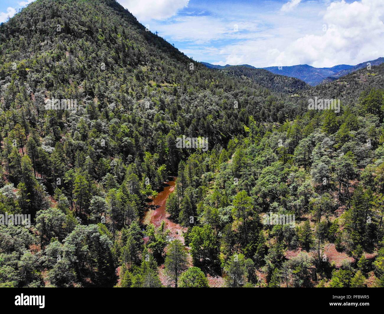 Vista aerea del paisaje, bosque y arroyo La Cueva en en La Mesa Tres ...