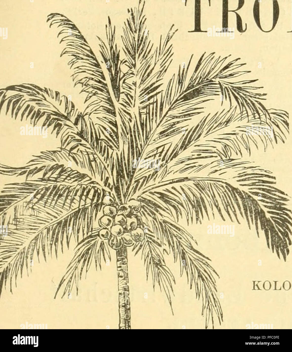 Plantation_design hi-res stock photography and images - Alamy