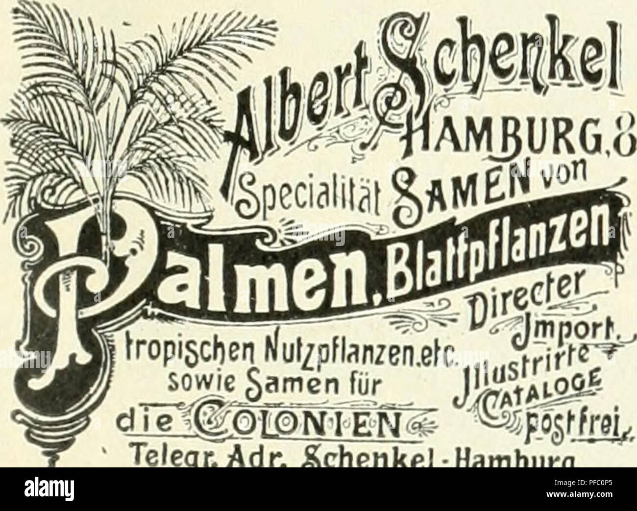 This image from 'Der Tropenpflanzer' illustrates the use of ox-tail ...