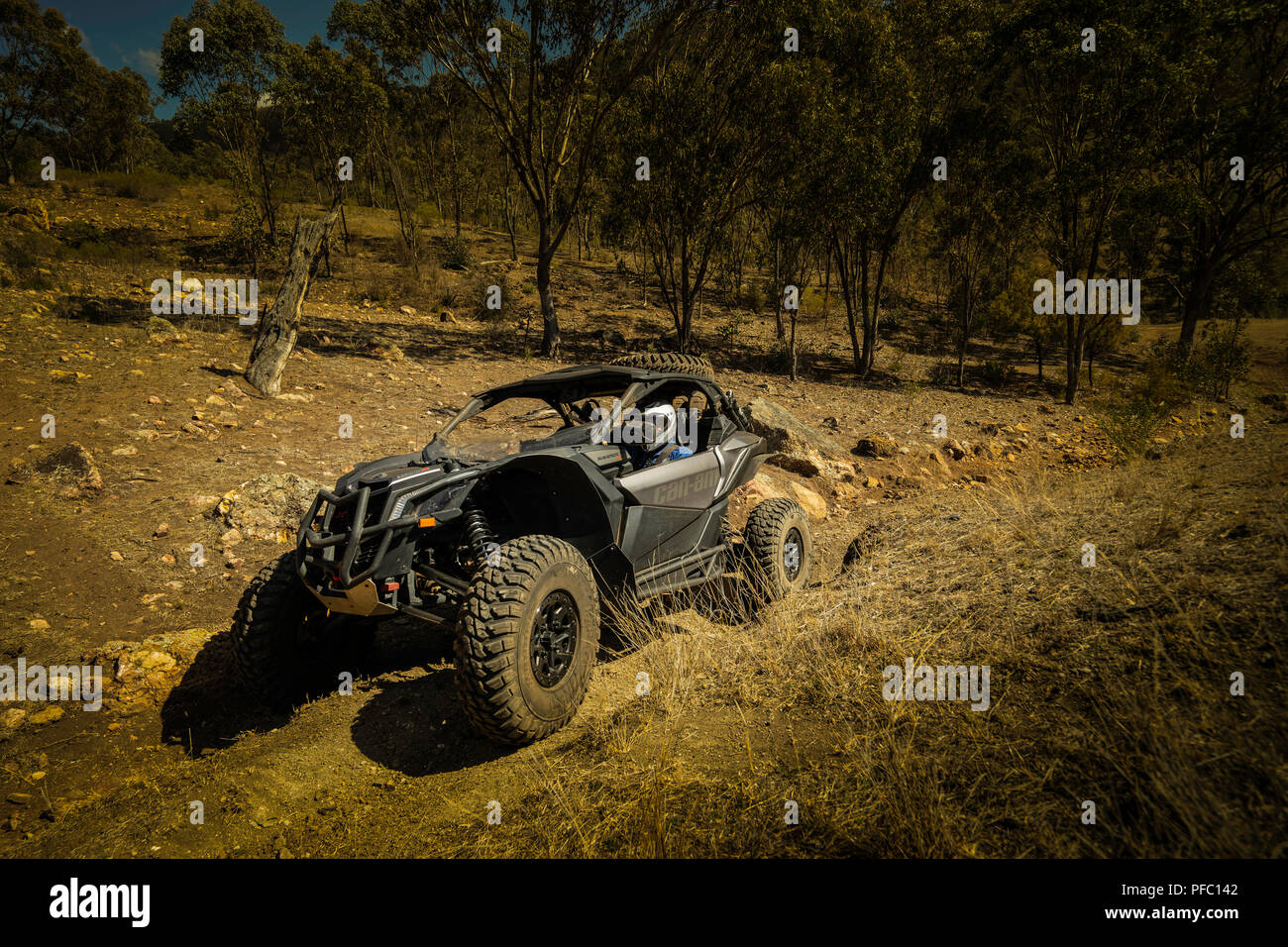 OFF-ROAD BUGGIES IN AUSTRALIA Stock Photo - Alamy