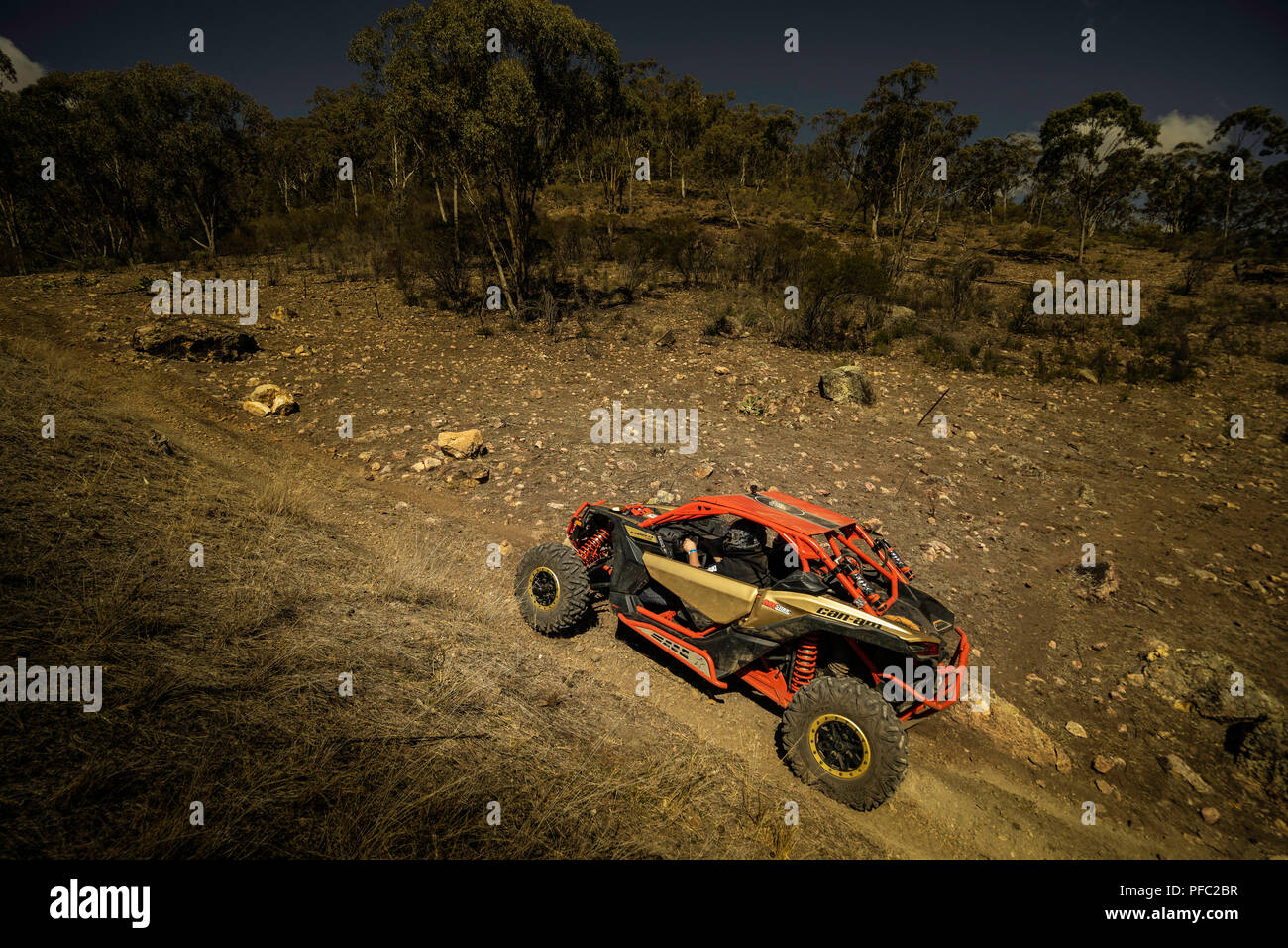 OFF-ROAD BUGGIES IN AUSTRALIA Stock Photo - Alamy