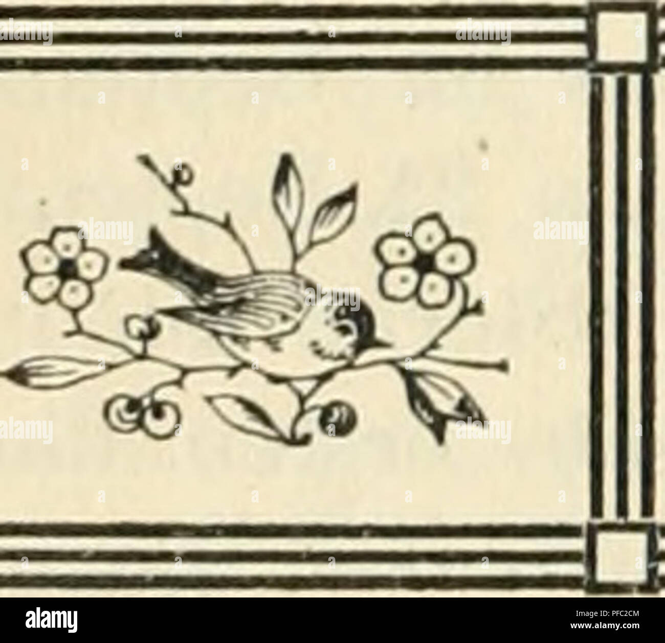 This ornithological observation reports on various bird species ...