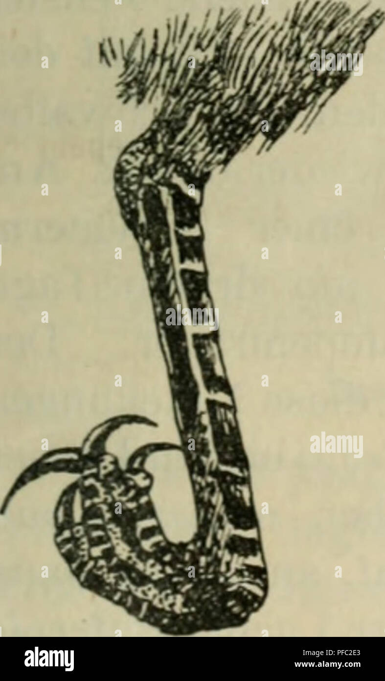 Appui des doigts hi-res stock photography and images - Alamy