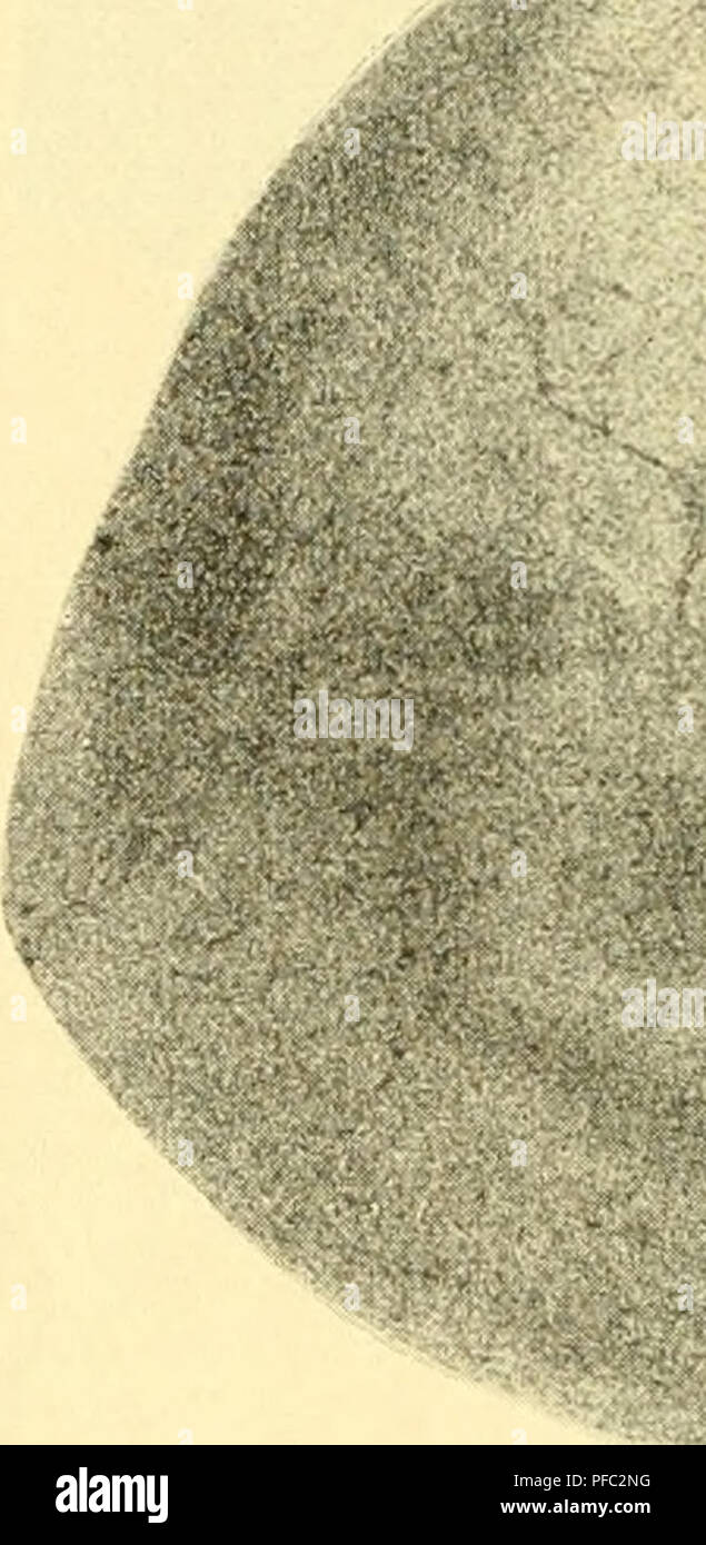 5 er ist hi-res stock photography and images - Alamy