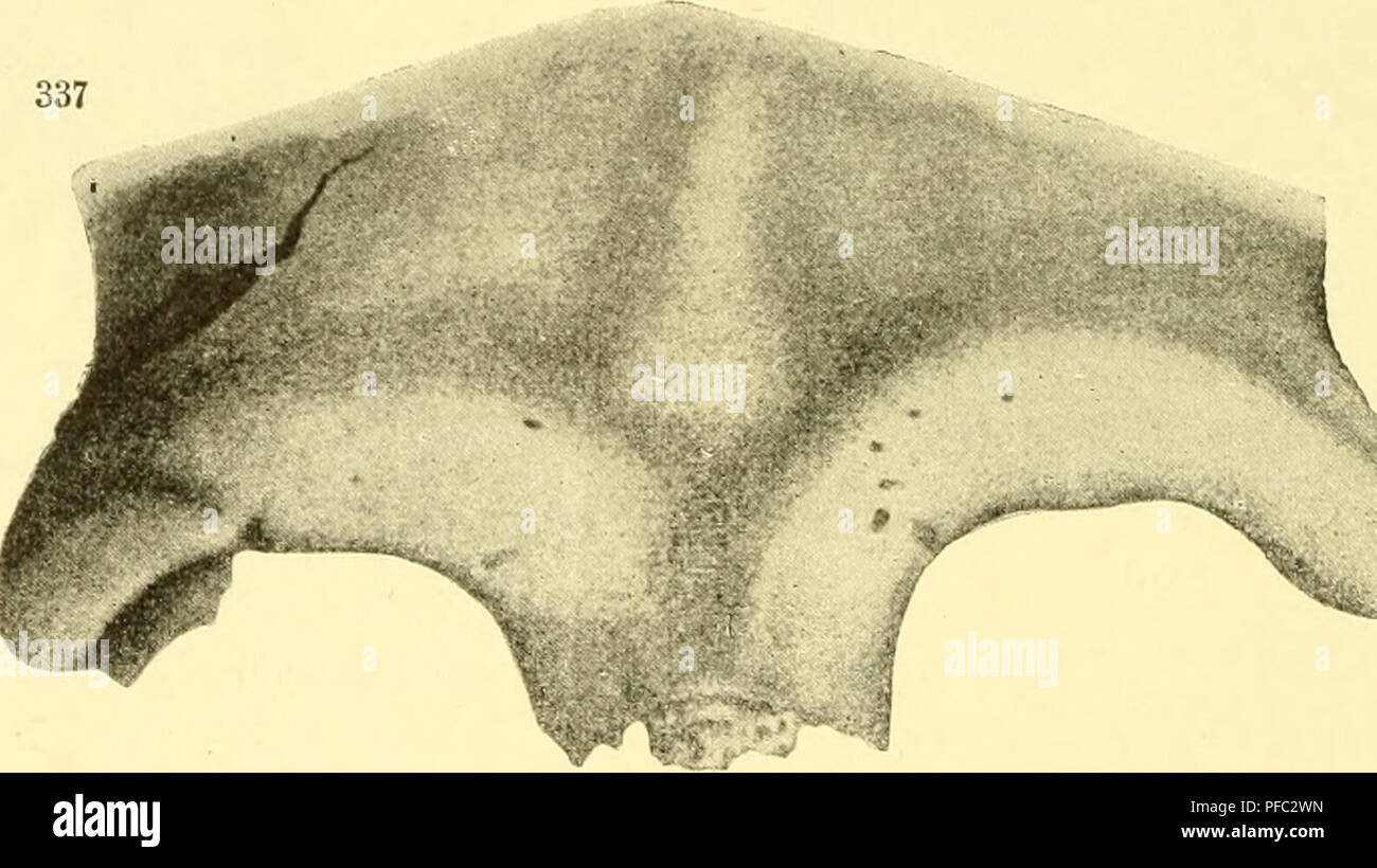 This book discusses the origin and development of humans in an easily ...