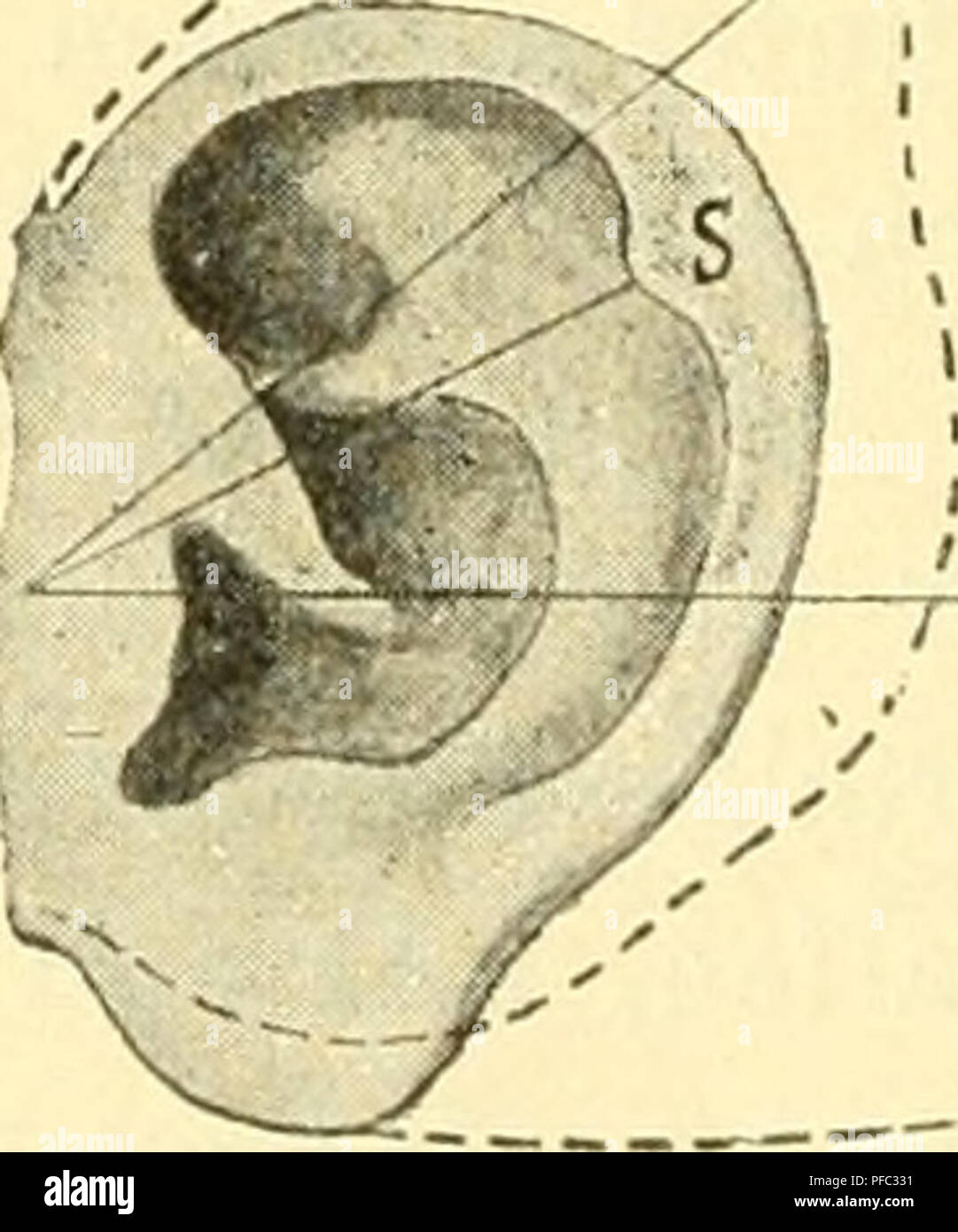 This book provides an accessible explanation of human evolution ...