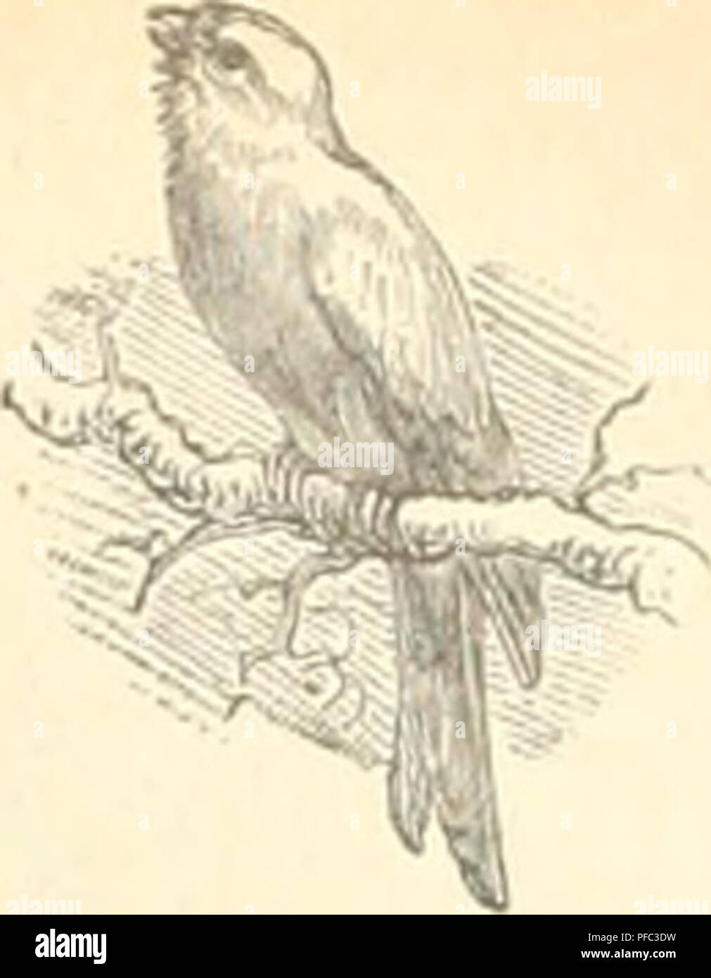 Sich ducken hi-res stock photography and images - Alamy