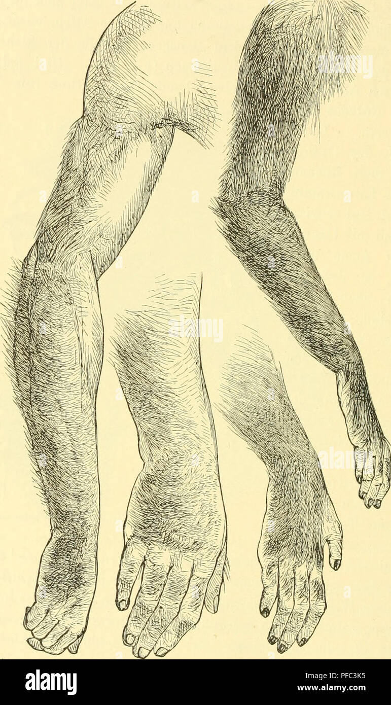 This work provides a clear overview of human evolution and development ...