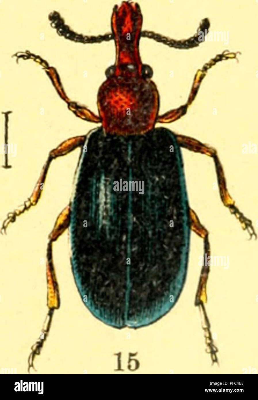 This guide provides practical advice on collecting and identifying ...