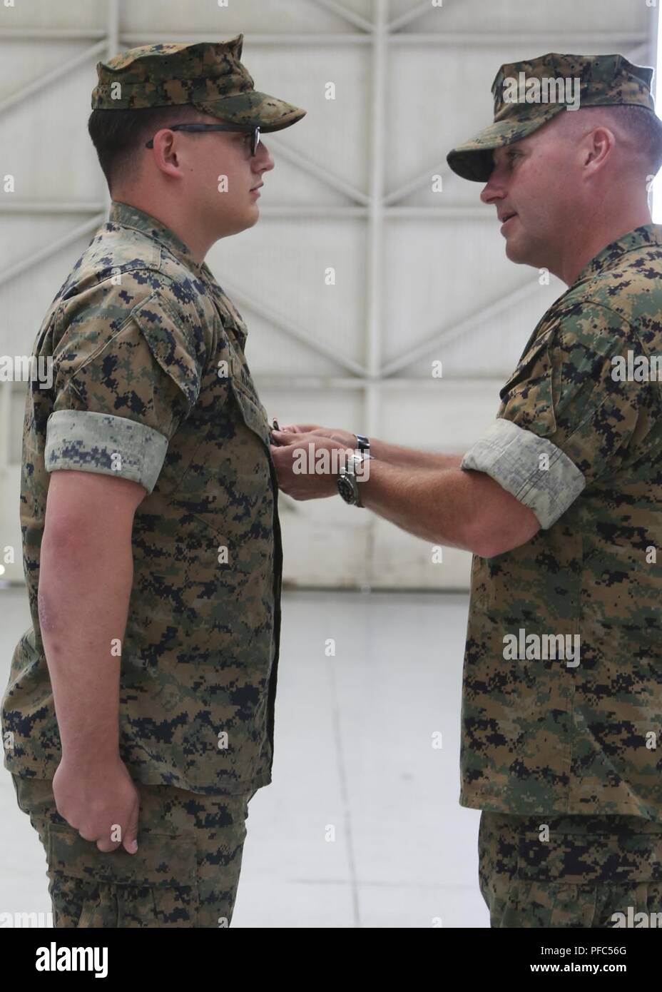 Col. Simon Doran, the Marine Aircraft Group 11 commanding officer, pins ...