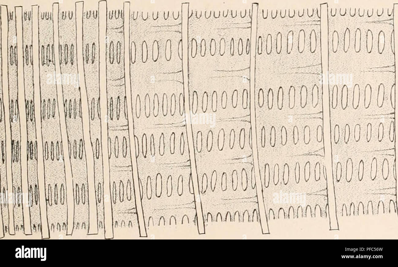 This catalog provides detailed descriptions and illustrations of ...