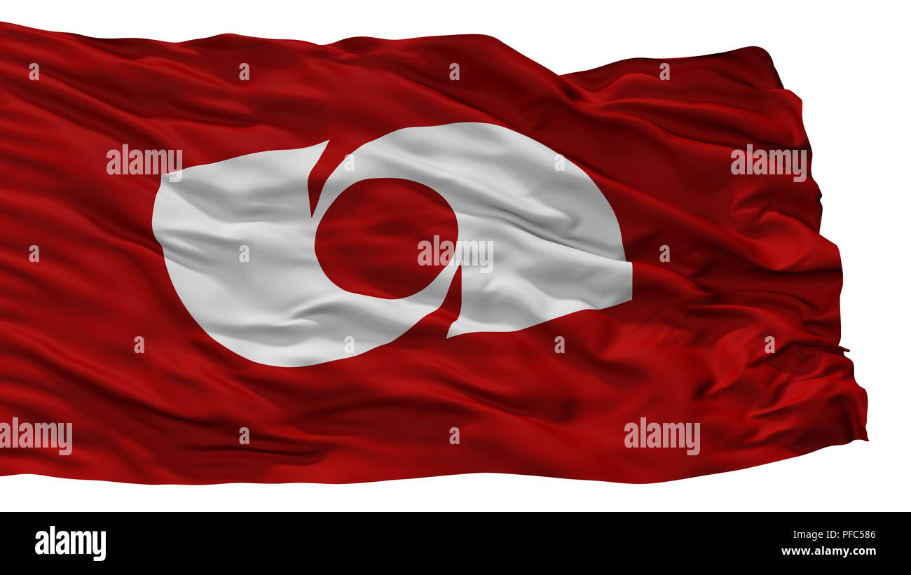 Iwaki City Flag, Japan, Fukushima Prefecture, Isolated On White ...