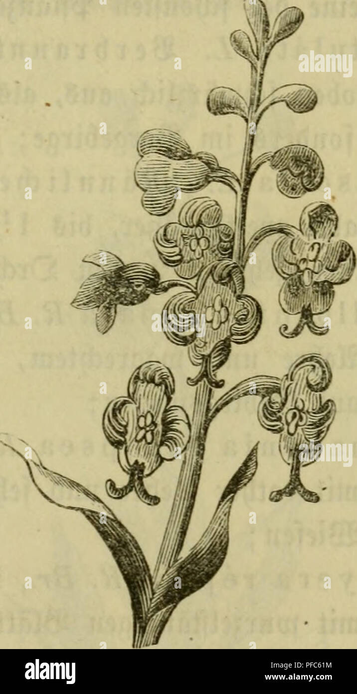 This German botanical guide aids in the identification and ...