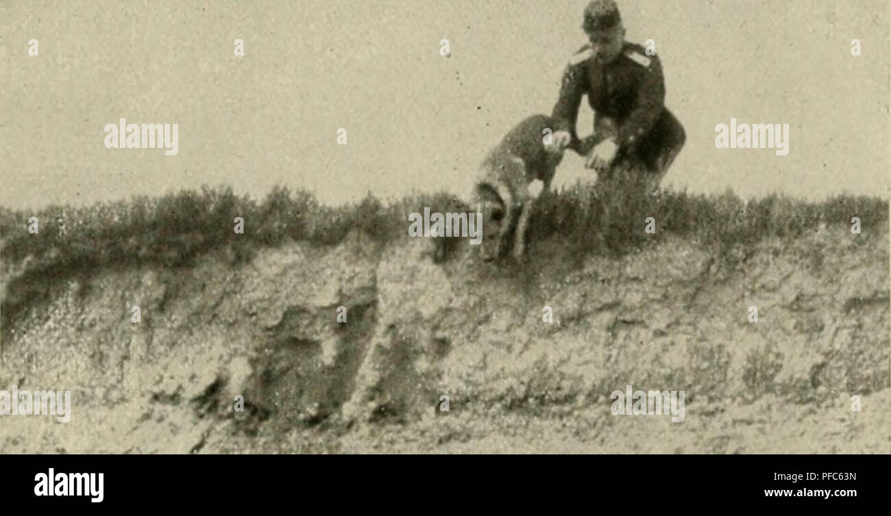 This work by Max von Stephanitz provides a comprehensive guide to the ...