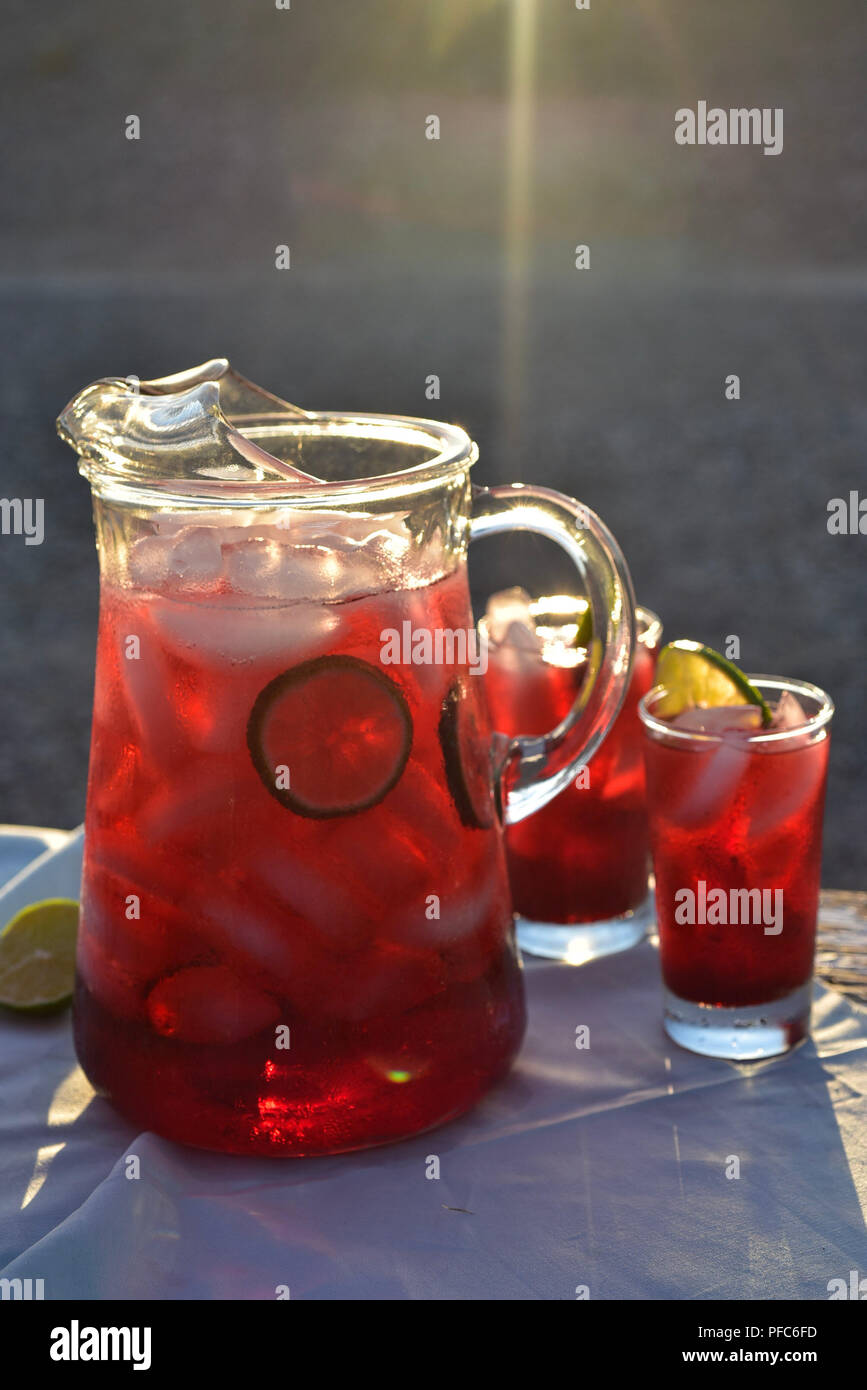 Hibiscus Floral Iced Tea at Neida Tracy blog