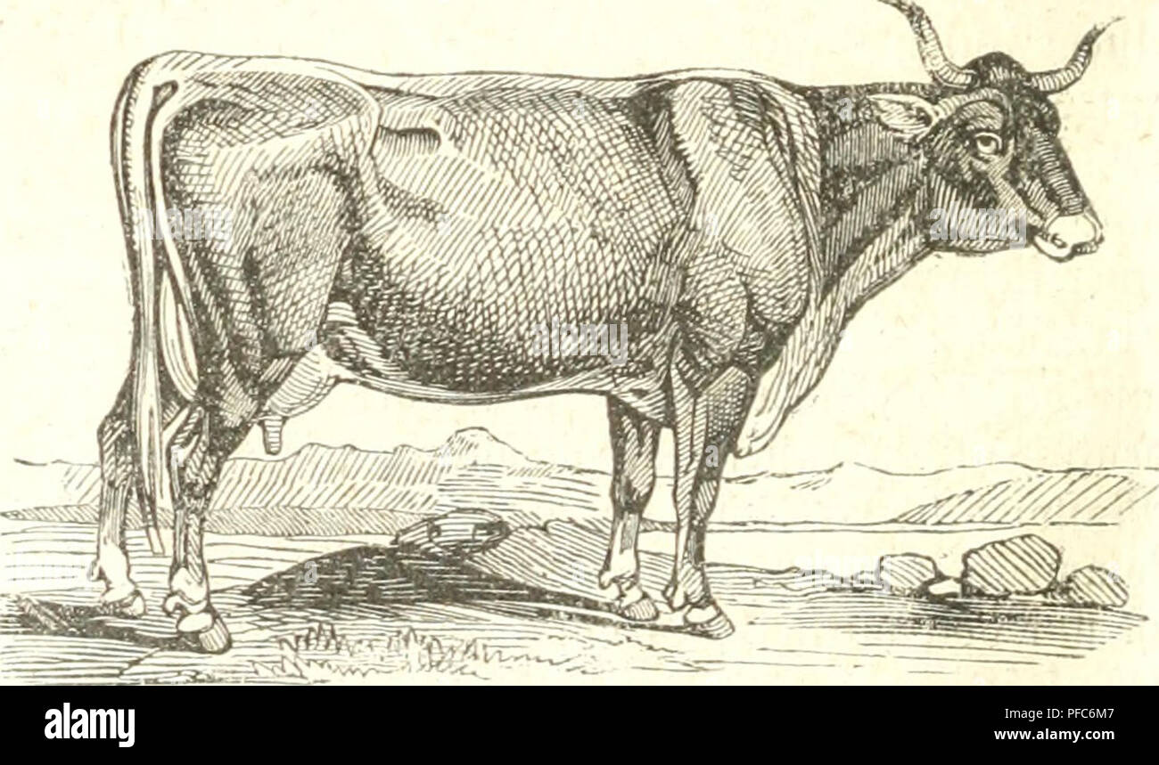 This German agricultural textbook offers practical insights into ...