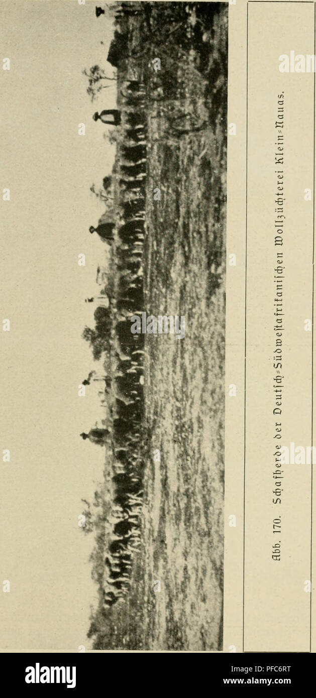 This work by Max von Stephanitz presents a detailed history and ...