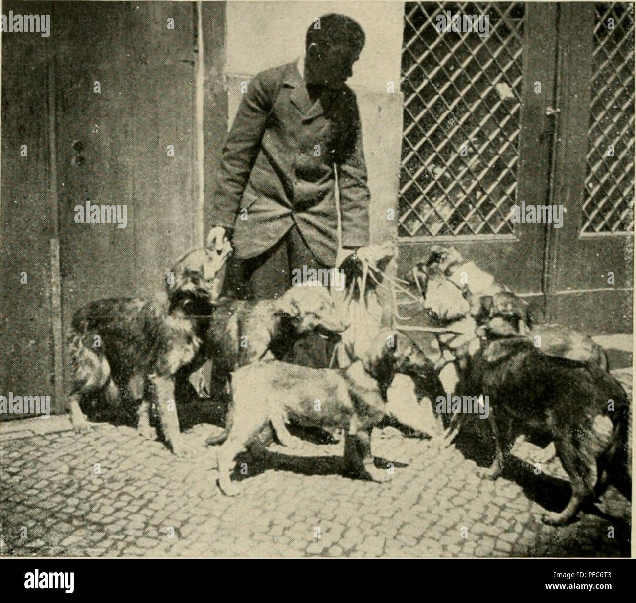 Beoing hi-res stock photography and images - Alamy