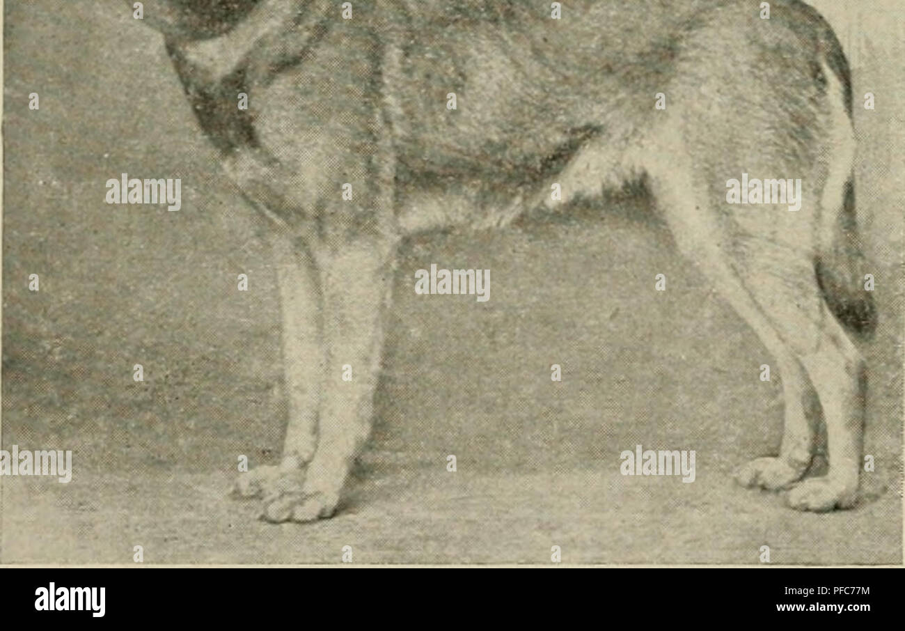 Scha neben hi-res stock photography and images - Alamy