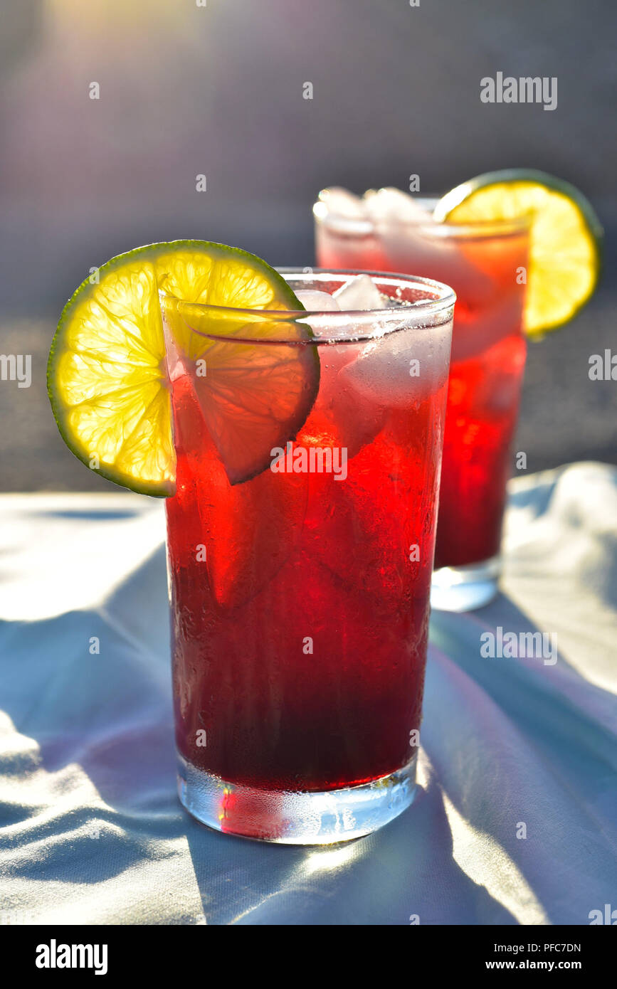 red colorful hibiscus flower iced tea cold drink in glasses and pitcher ...