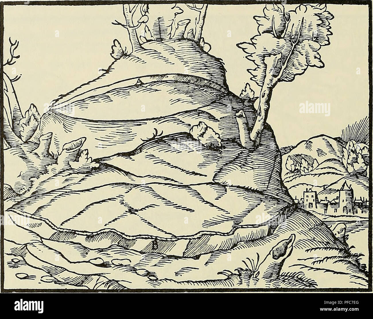 Vena de mineral hi-res stock photography and images - Alamy