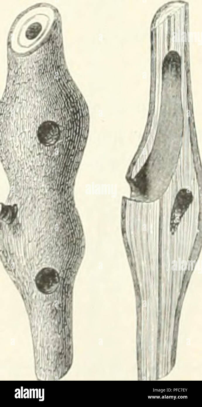 511 mm hi-res stock photography and images - Alamy