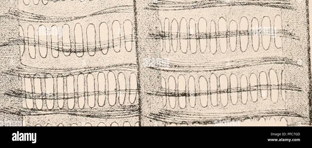 This catalogue provides detailed descriptions and illustrations of the ...
