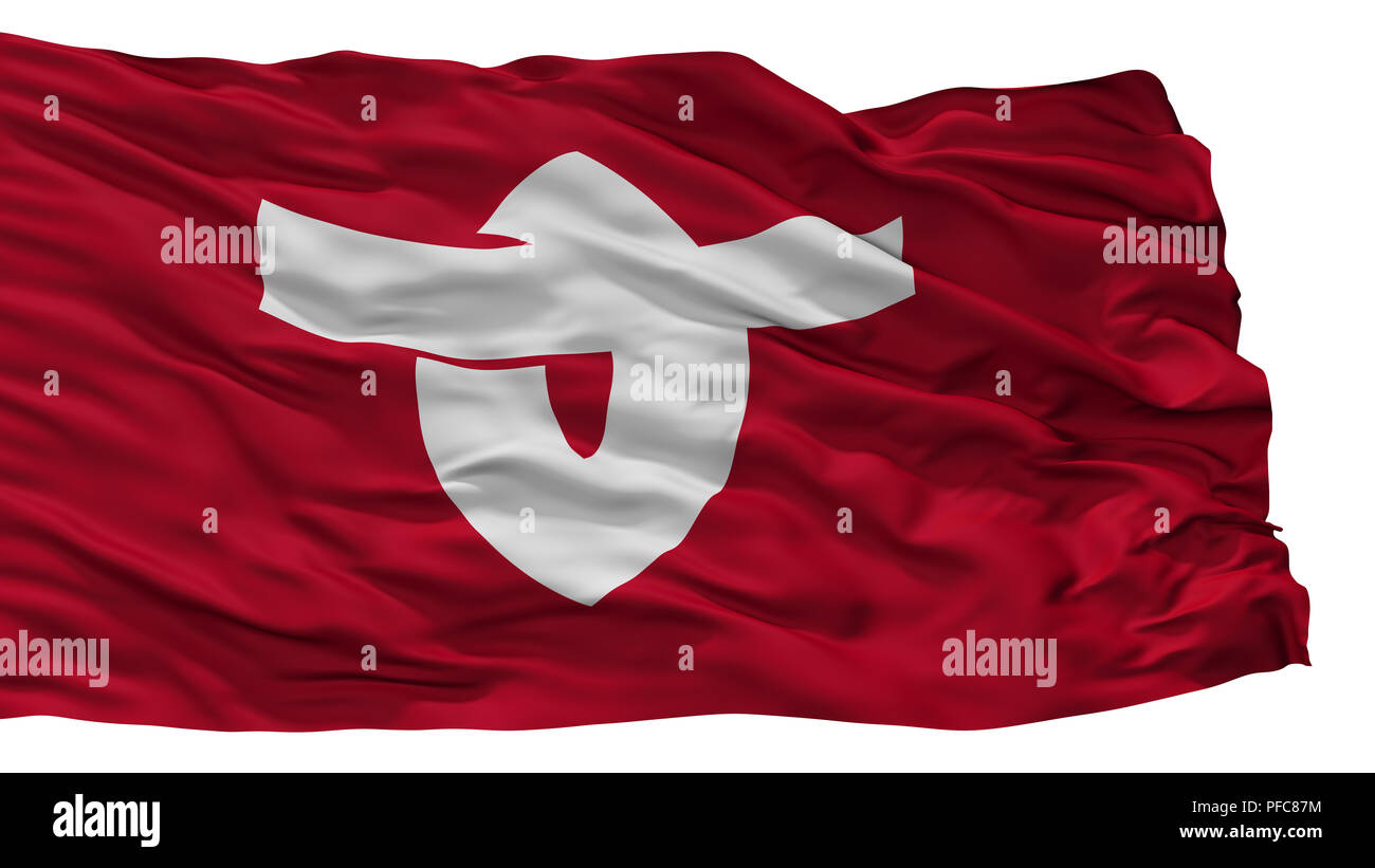 Nankoku City Flag, Japan, Kochi Prefecture, Isolated On White ...