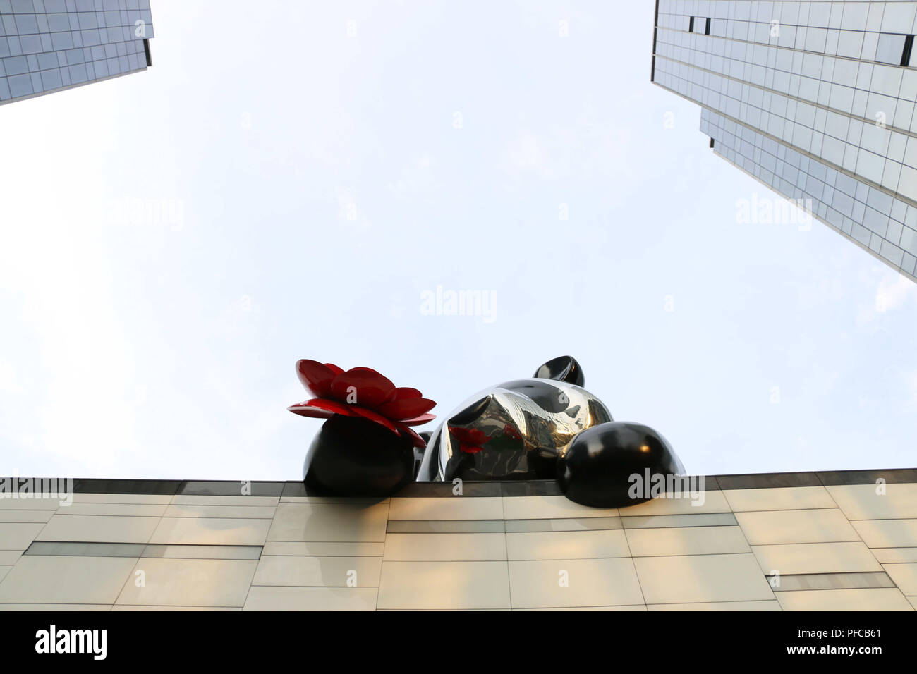 Chongqin, Chongqin, China. 21st Aug, 2018. Chongqing, CHINA-The ...