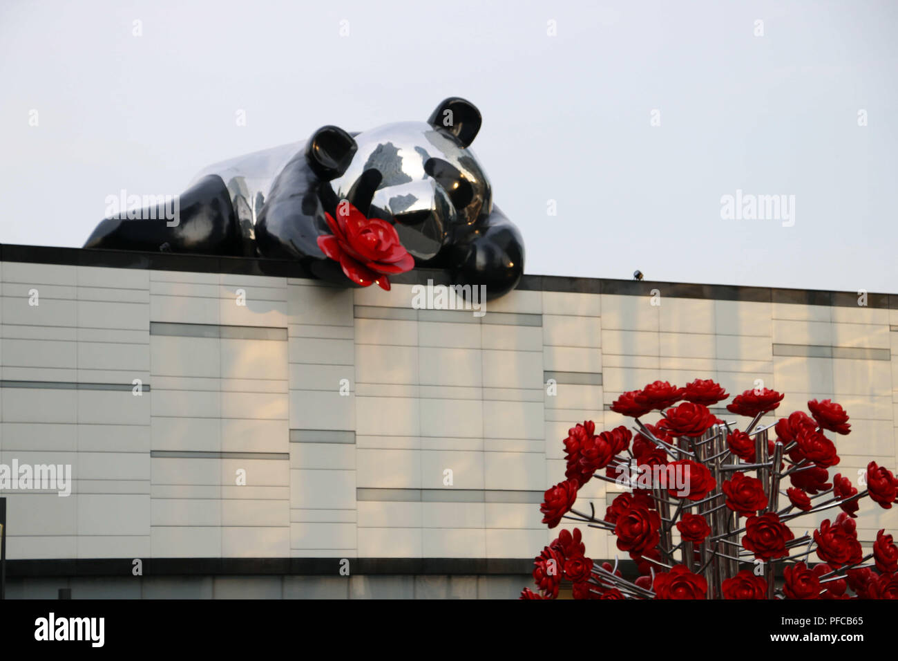 Chongqin, Chongqin, China. 21st Aug, 2018. Chongqing, CHINA-The ...