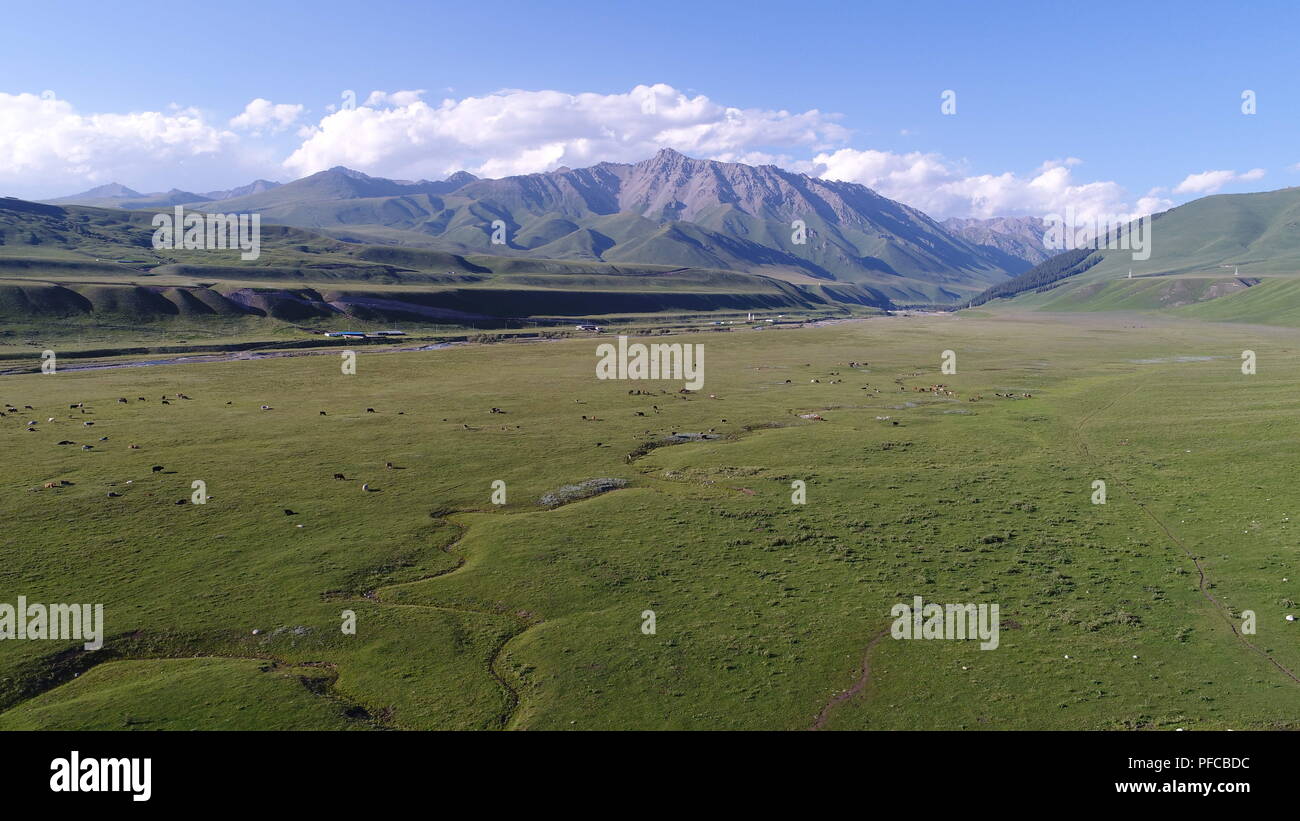 Xinjian, Xinjian, China. 21st Aug, 2018. Xinjiang, CHINA-Scenery of ...