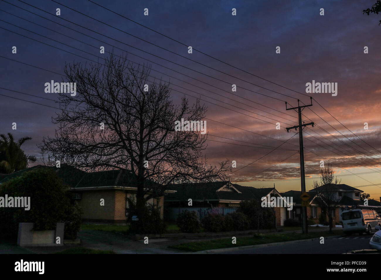 Adelaide, Australia. 21st Aug, 2018. Suburban houses and eucalyptus ...