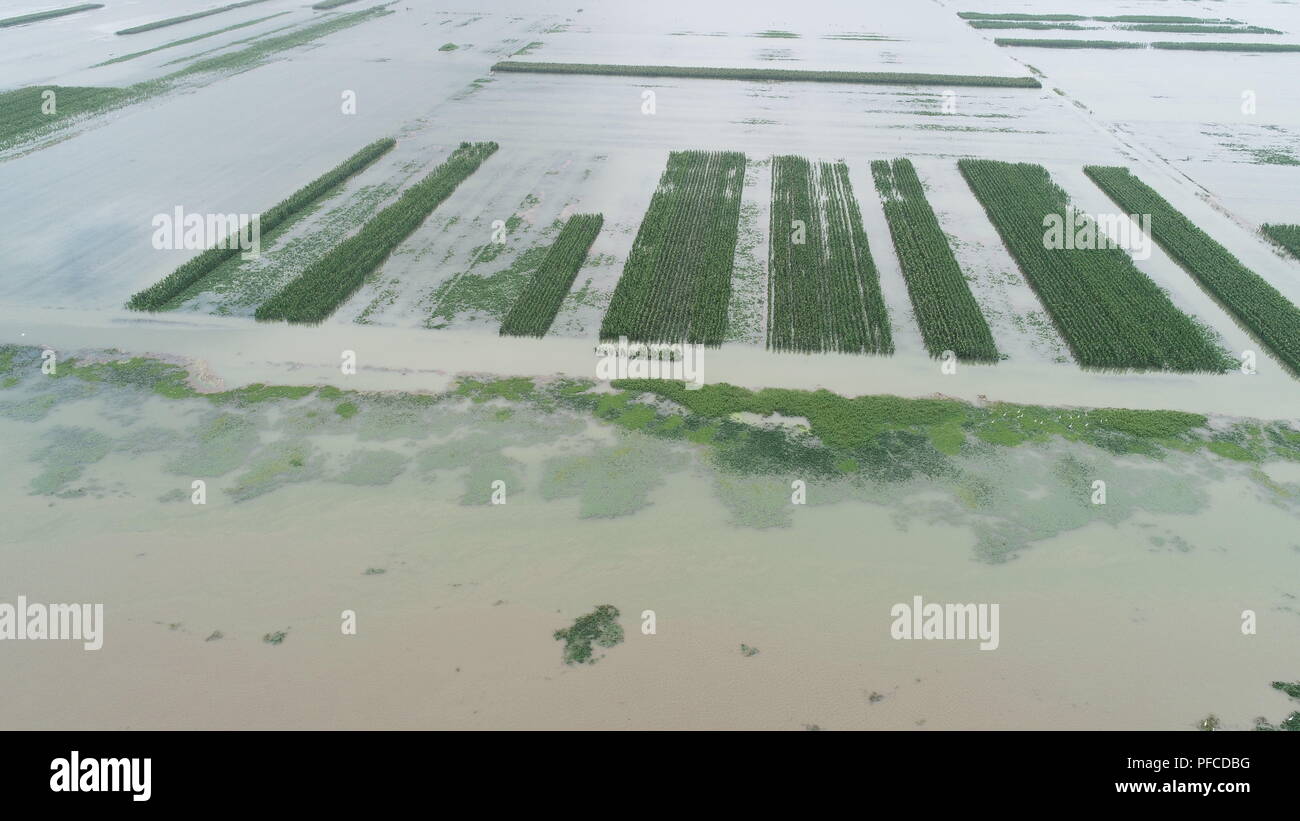 Luoma High Resolution Stock Photography and Images - Alamy