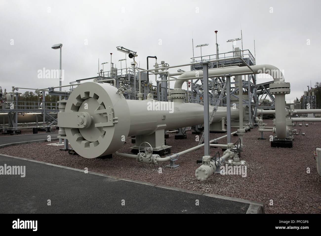 Intelligent pigs hi-res stock photography and images - Alamy