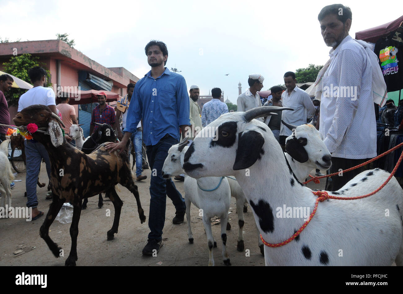 (180821) -- NEW DELHI, Aug. 21, 2018 (Xinhua) -- Goat vendors wait for ...