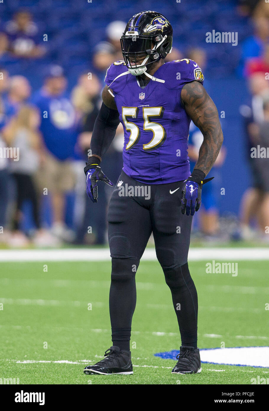 Terrell Suggs Shirtless