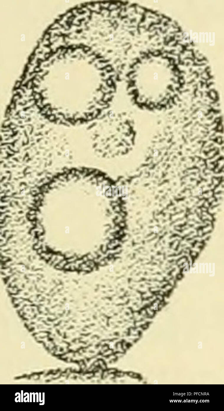 Leraka hi-res stock photography and images - Alamy